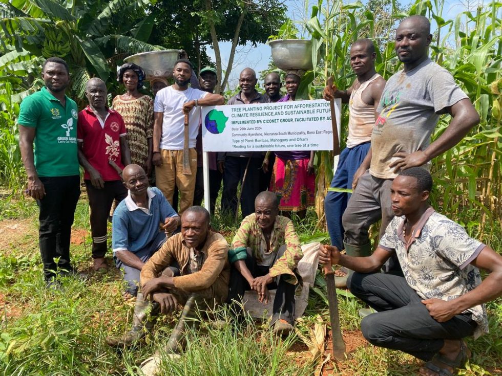 Sowing Seeds of Sustainability: CiCoNet Leads tree planting exercise in ...